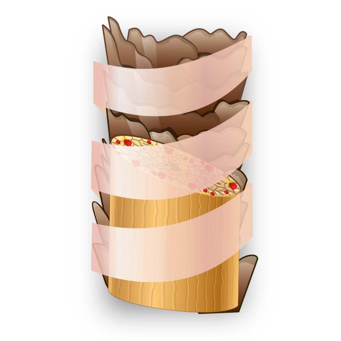 THE TECHNOLOGY BEHIND COLOR TOUCH Incomplete