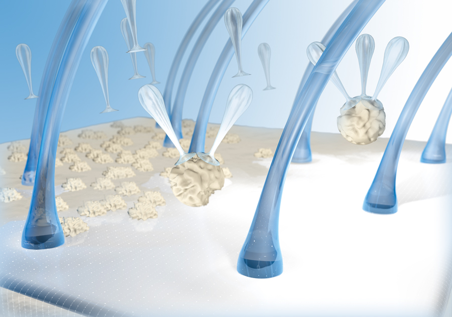 STEP 1: CLEANSE Incomplete