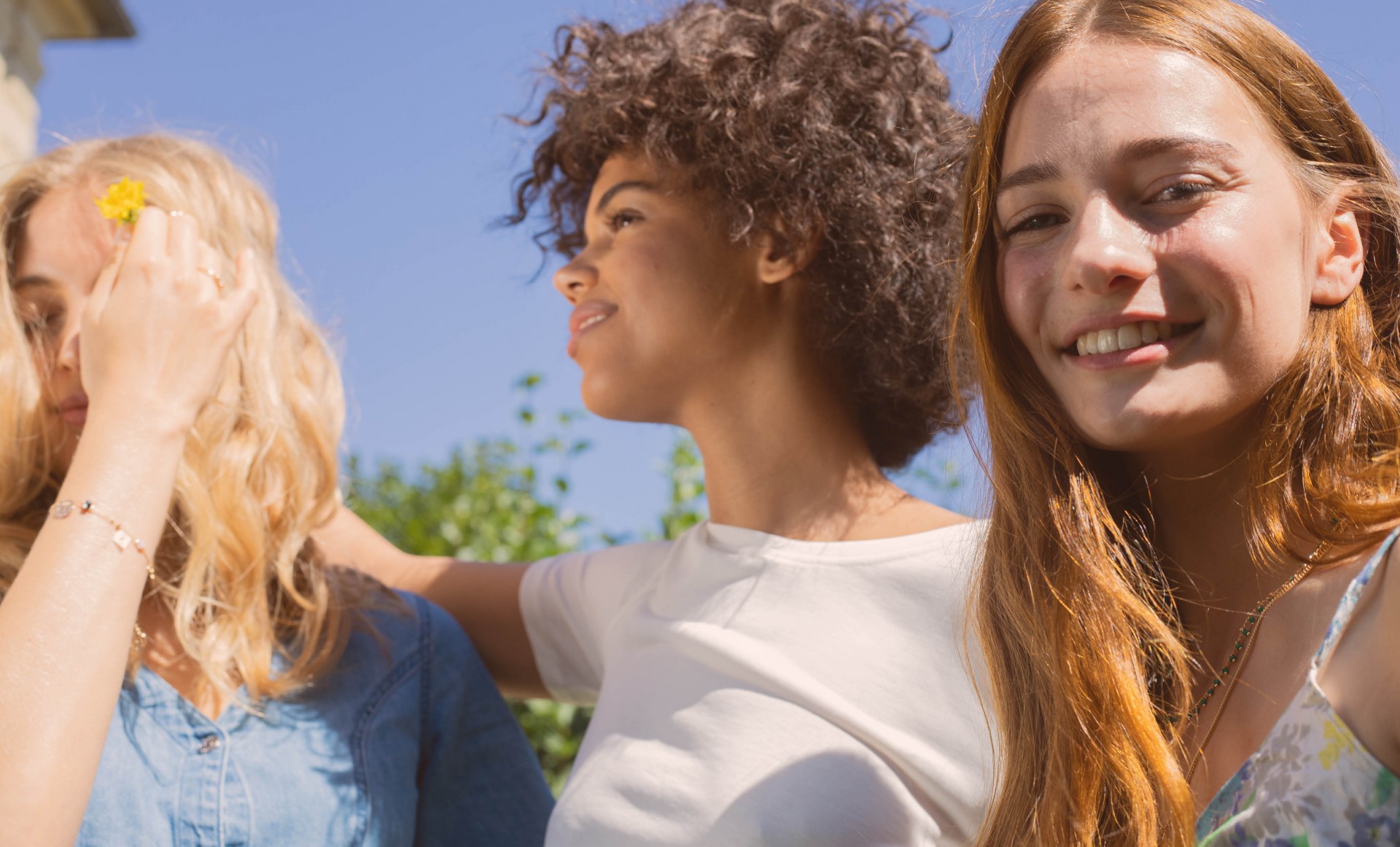 weDo: weDo Professional - Conditioning