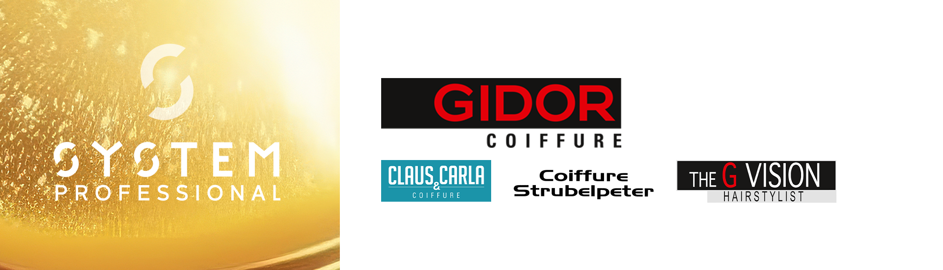 Kurs: System Professional LipidCode™ Einführung