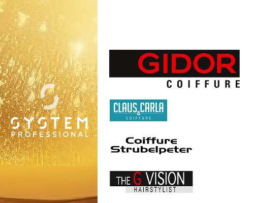 Kurs: System Professional LipidCode™ Einführung