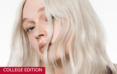 Wella Education: Digital Studio